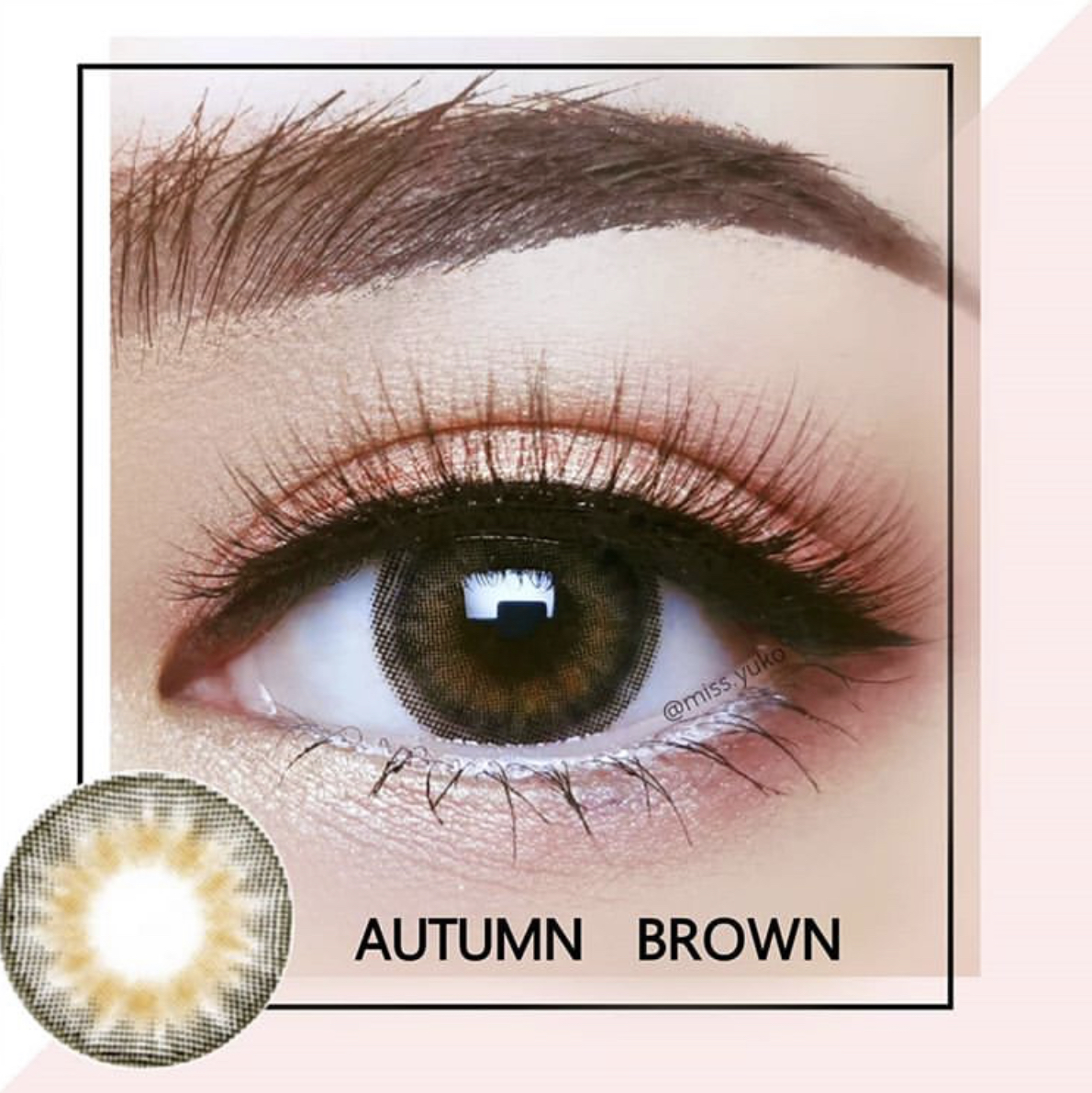 Autumn Brown 1 Month Contacts - Bbbeautycontact